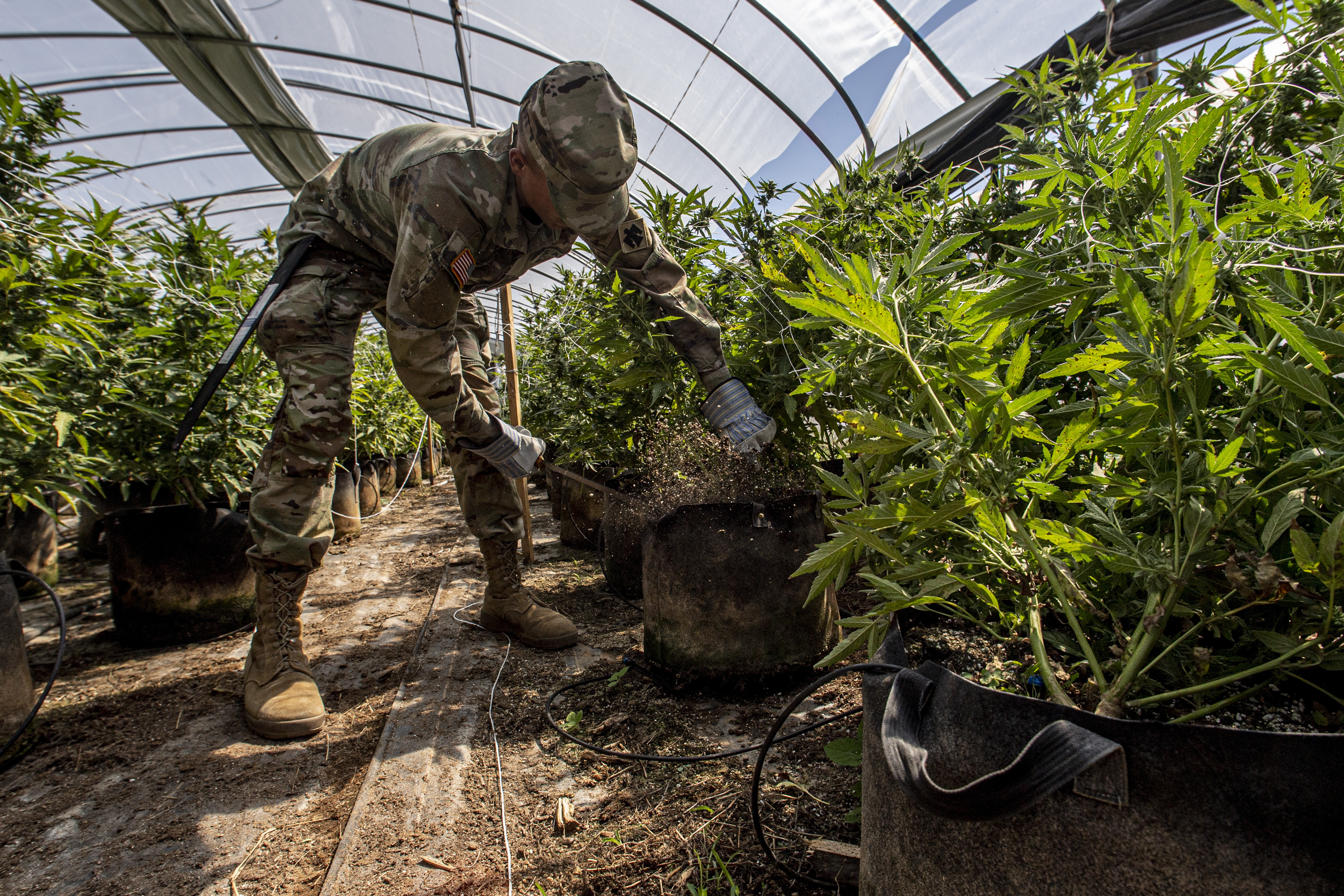 Oklahoma National Guard > Home > About Your OKGuard